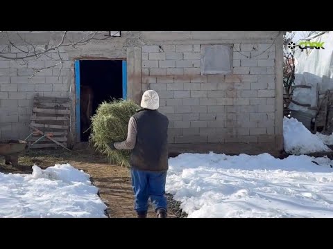 Bir Gün Değil, Her Gün: Köyde Bir Kadının Bitmeyen Mesaisi