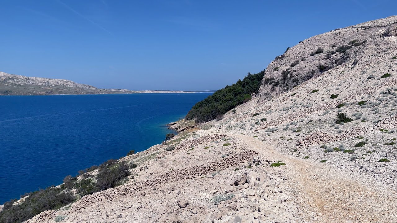 Island Pag ... Lun(Olives) Novalja [4K] - YouTube