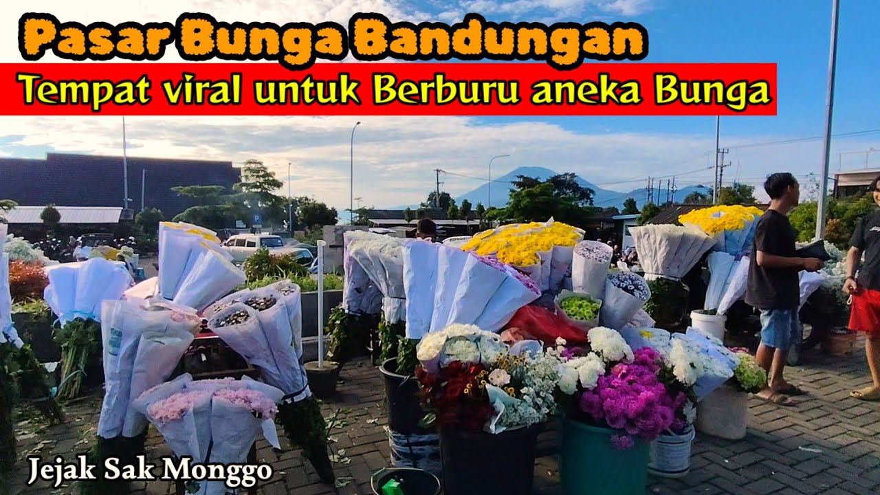 Viral | Pasar bunga Bandungan kabupaten Semarang - YouTube