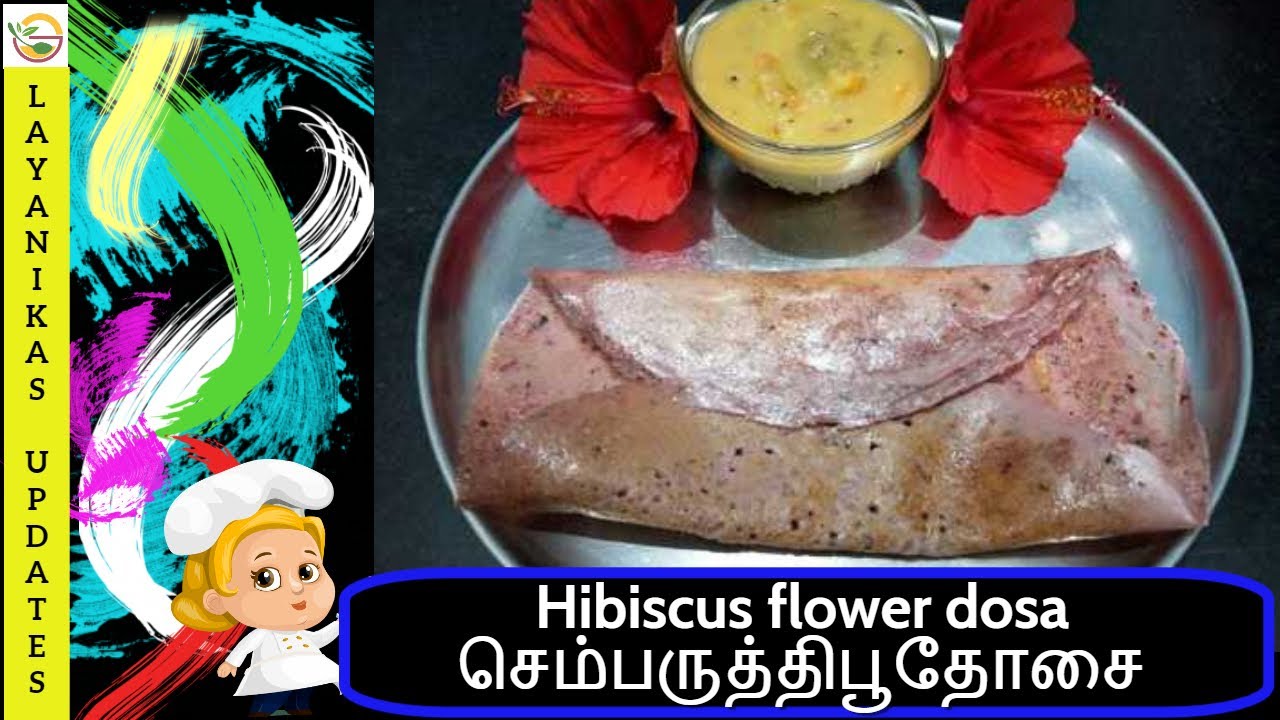 Dosa variety Dish-1/Hibiscus flower dosa/sembaruthi poo dosa in tamil ...
