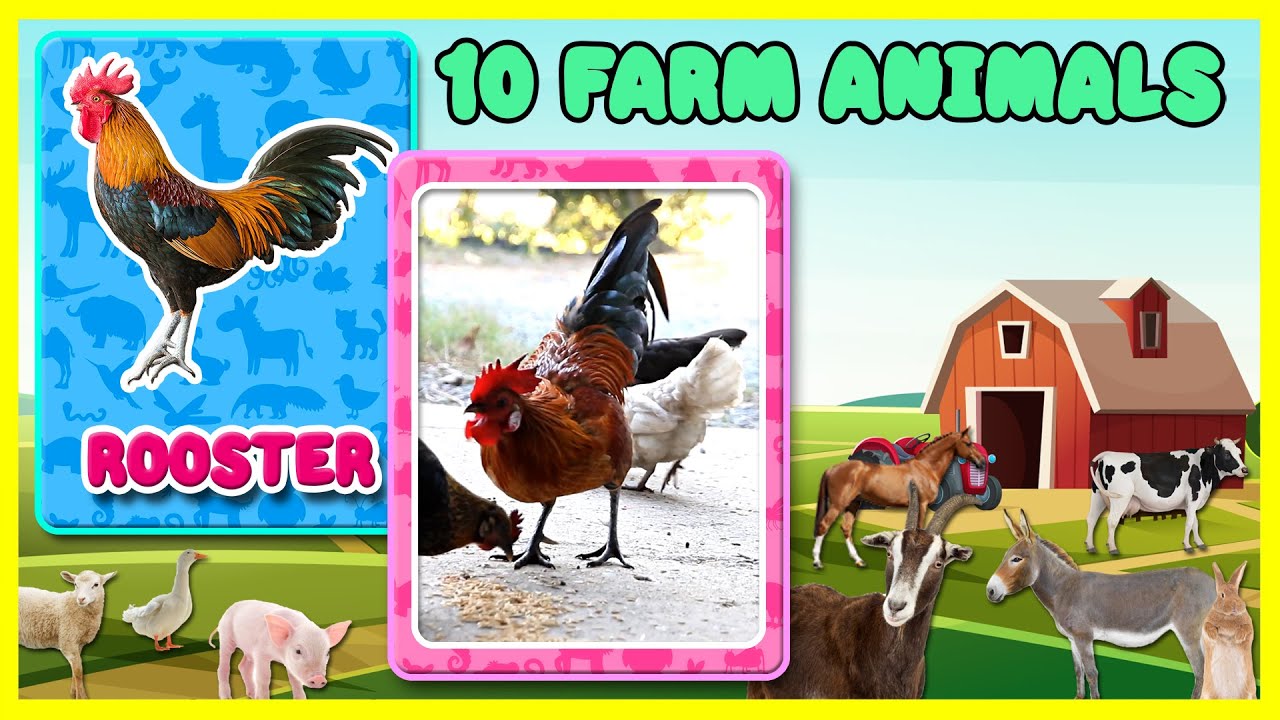 10 Farm Animal Flashcards for Kids - Farm Animals Names and Sounds for ...