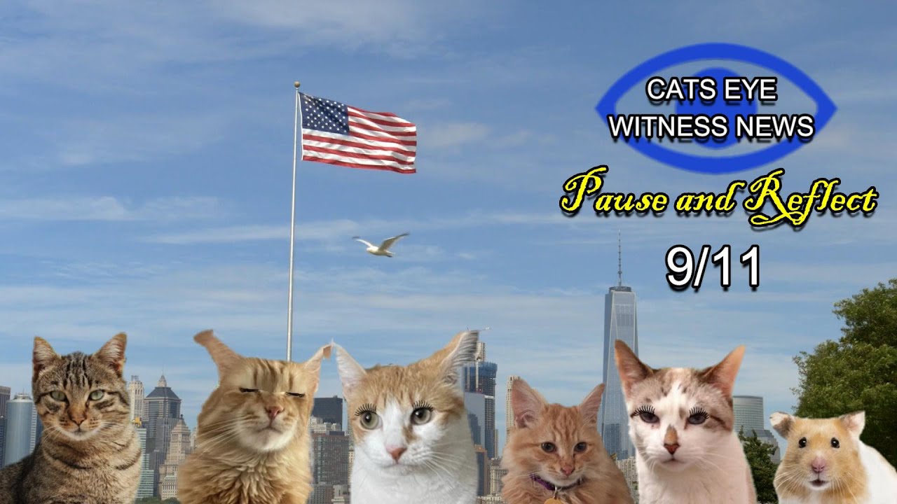 CATS EYE WITNESS NEWS - 9/11 TRIBUTE - YouTube