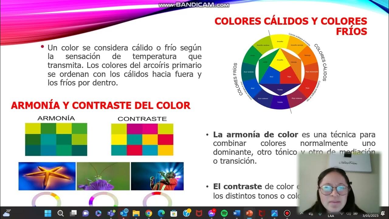 el color y las emociones - YouTube