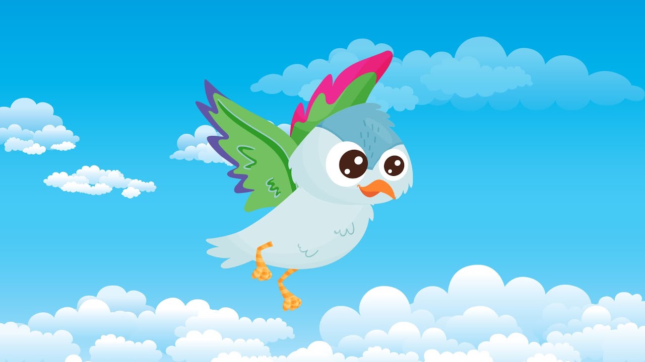 Cikcik Kuş - YouTube