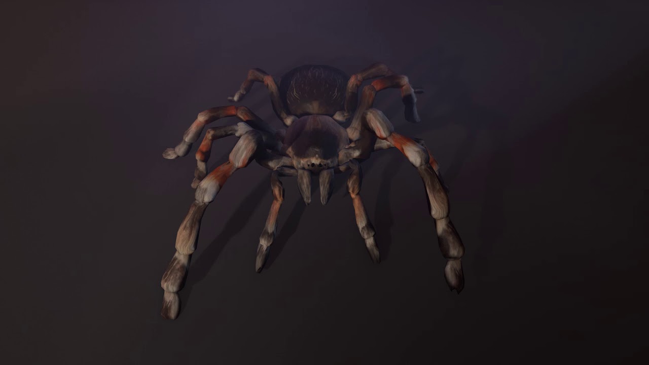 Low Poly Tarantula - Animated 3D Asset - YouTube