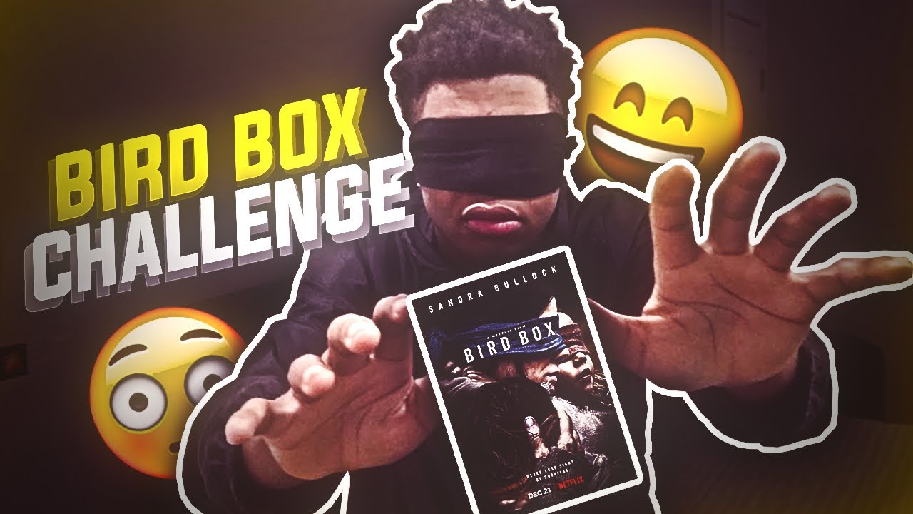 *NEW* BIRD BOX CHALLENGE 😎 TRYING TO ESCAPE FROM MY ROOM BLIND FOLDED😟 ...