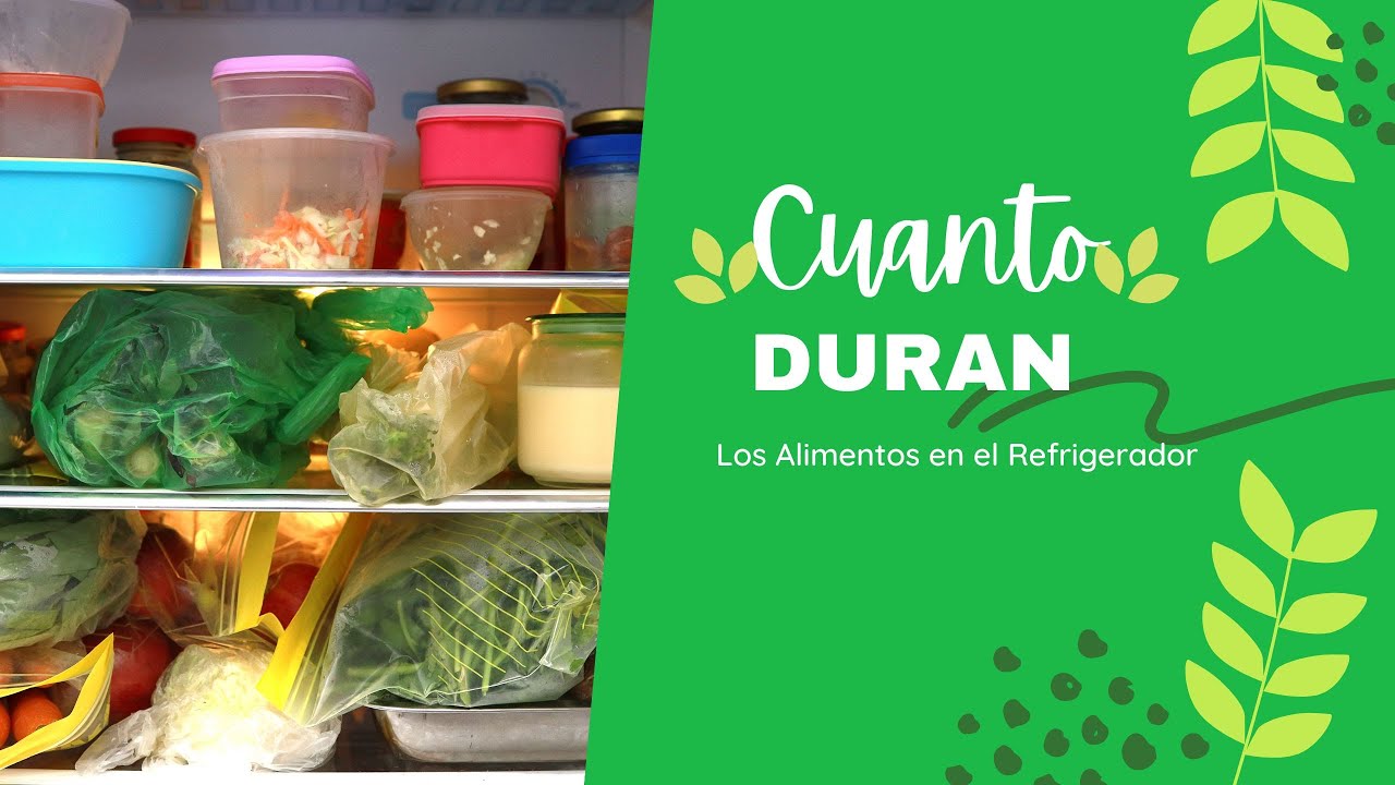 Cuanto dura el pollo en la nevera - YouTube