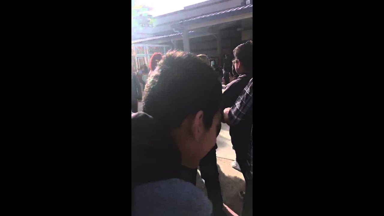 Hood fight girl gets knocked out - YouTube