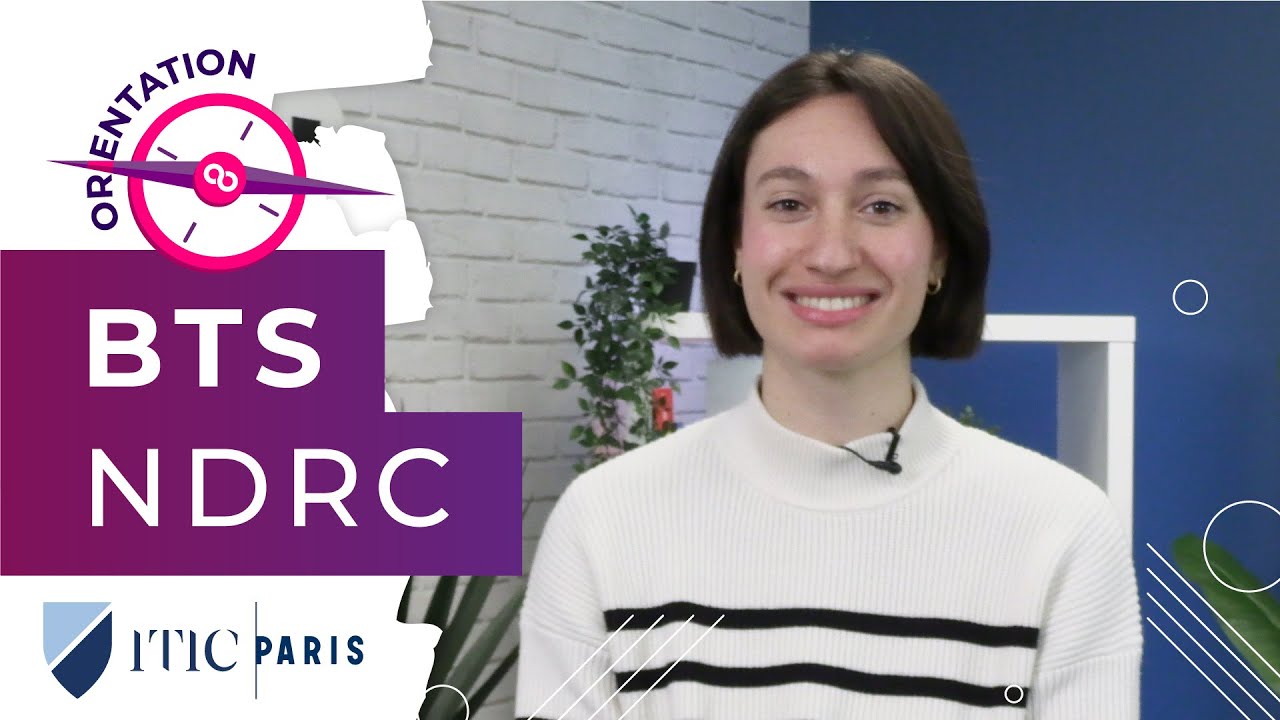 Tout savoir sur le BTS NDRC (Négociation et Digitalisation de la ...