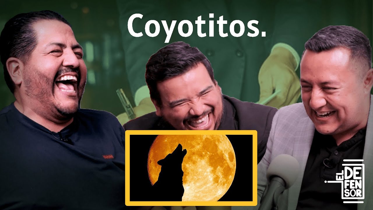 Coyotitos by @enchuecameelderecho - YouTube
