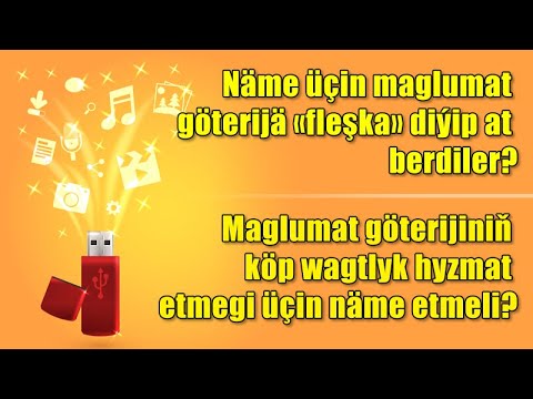 Diňe maglumat göteriji hakynda | Erjellik