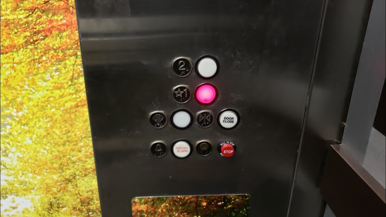 Amtech Hydraulic Elevator @ 27209 Lahser Road, Southfield, MI - YouTube