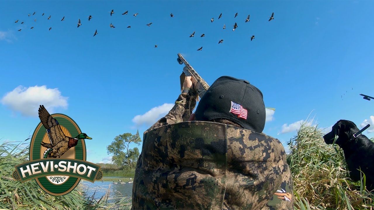Goose Hunting Over Water (Landing in the DECOYS) - YouTube