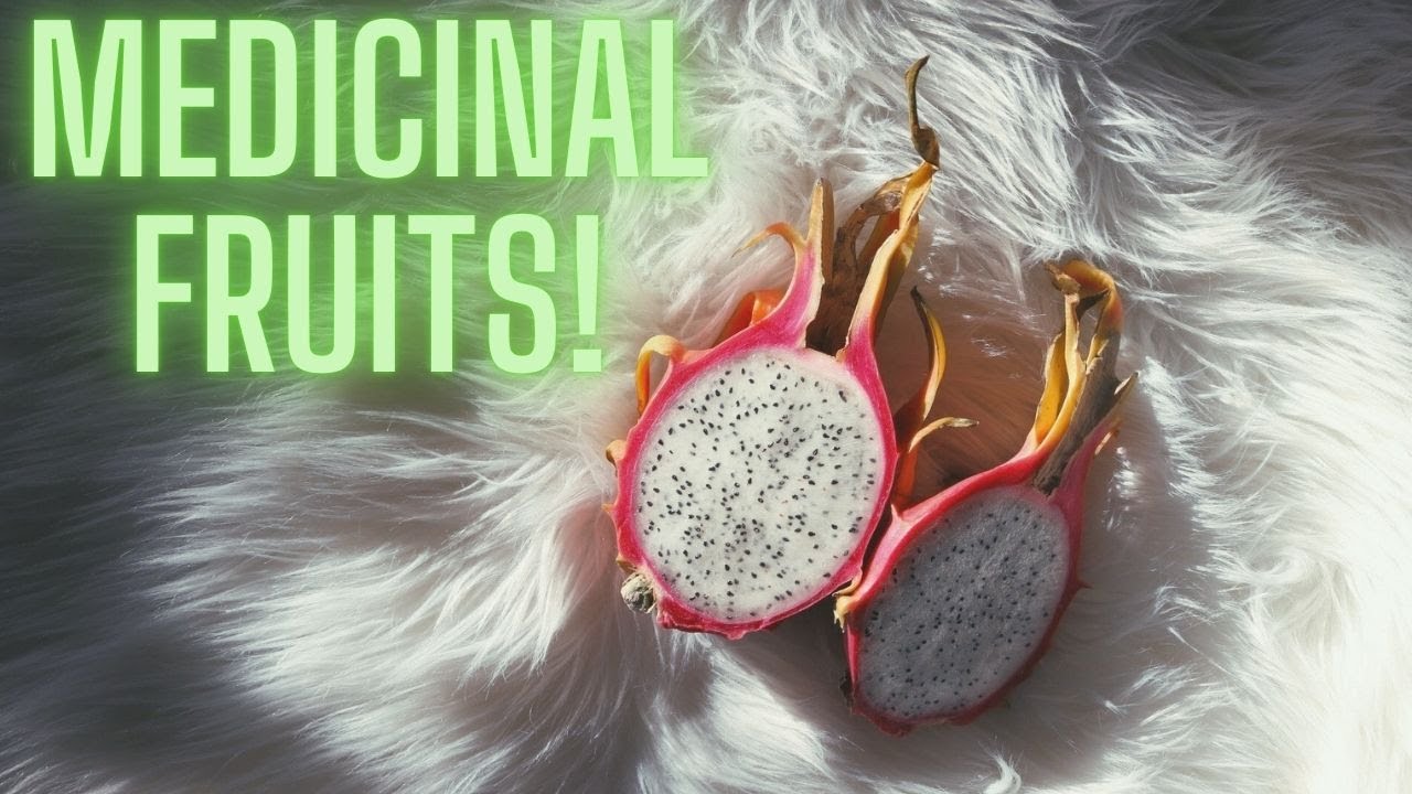 MEDICINAL FRUITS | FRUITS THAT CAN CURE - YouTube