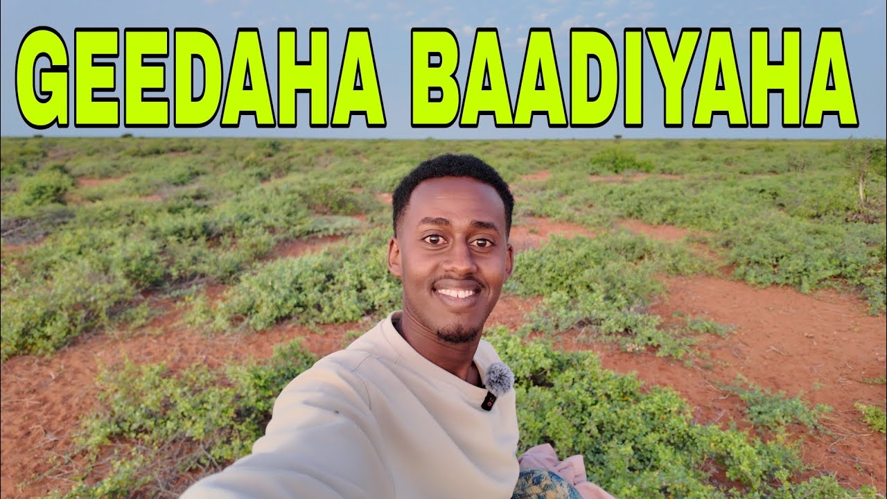 MATA QAANA GEEDAHA BAADIYAHA MAGACOODA...? - YouTube