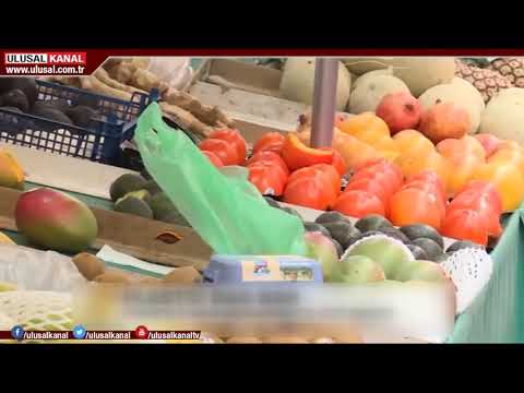 Plastik poşet kullanımının dünyadaki örnekleri neler?