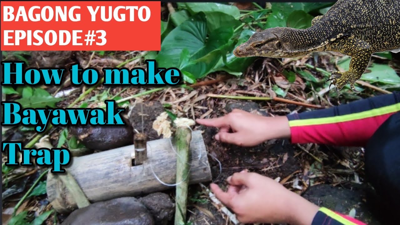 BYEP#3 How to Make Bayawak Trap using Bamboo - YouTube