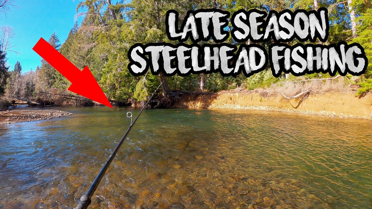 Oregon Coast Winter Steelhead Fishing! - YouTube