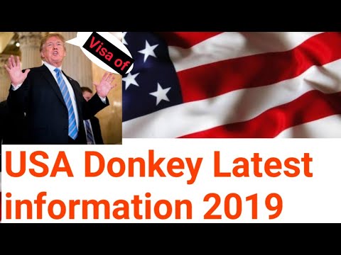 Usa Donkey Latest information 2019 - YouTube