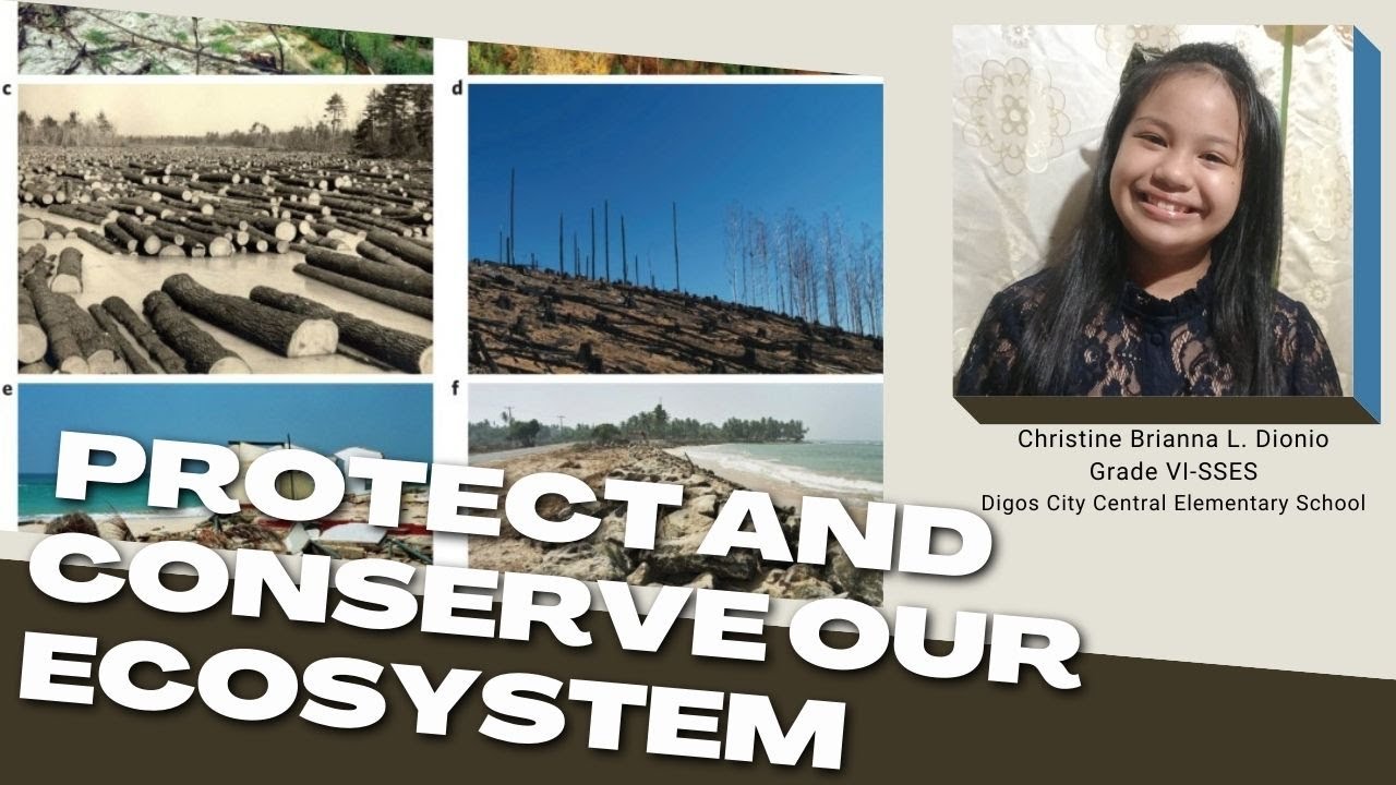 How to Conserve and protect ecosystem/tropical rainforest/ coral reef ...