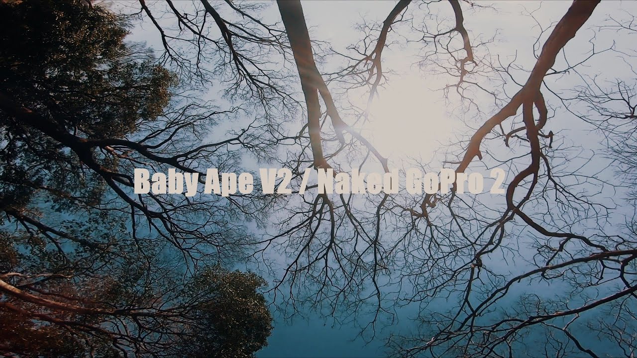 Baby Ape Pro V2 / 剝きプロテスト 2 - YouTube