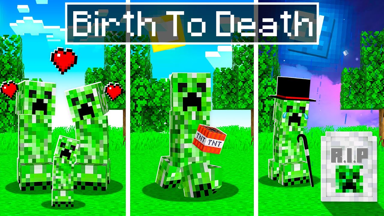 The BIRTH to DEATH of a Minecraft Creeper! - YouTube