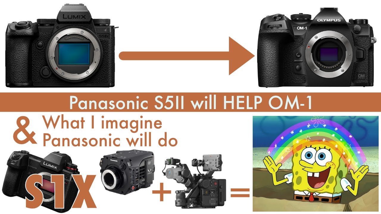 Panasonic S5 II will help OM Systems | What Panasonic should do ...