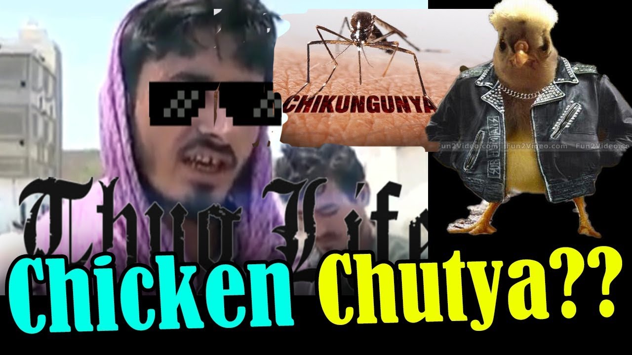 ChikunGunya goes Chicken Chutya Funny clip Oct 2017 - YouTube
