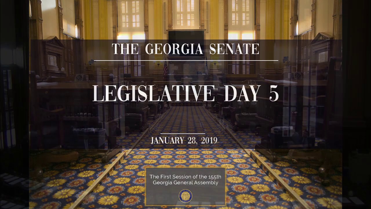 Georgia Senate, Day 5 - YouTube