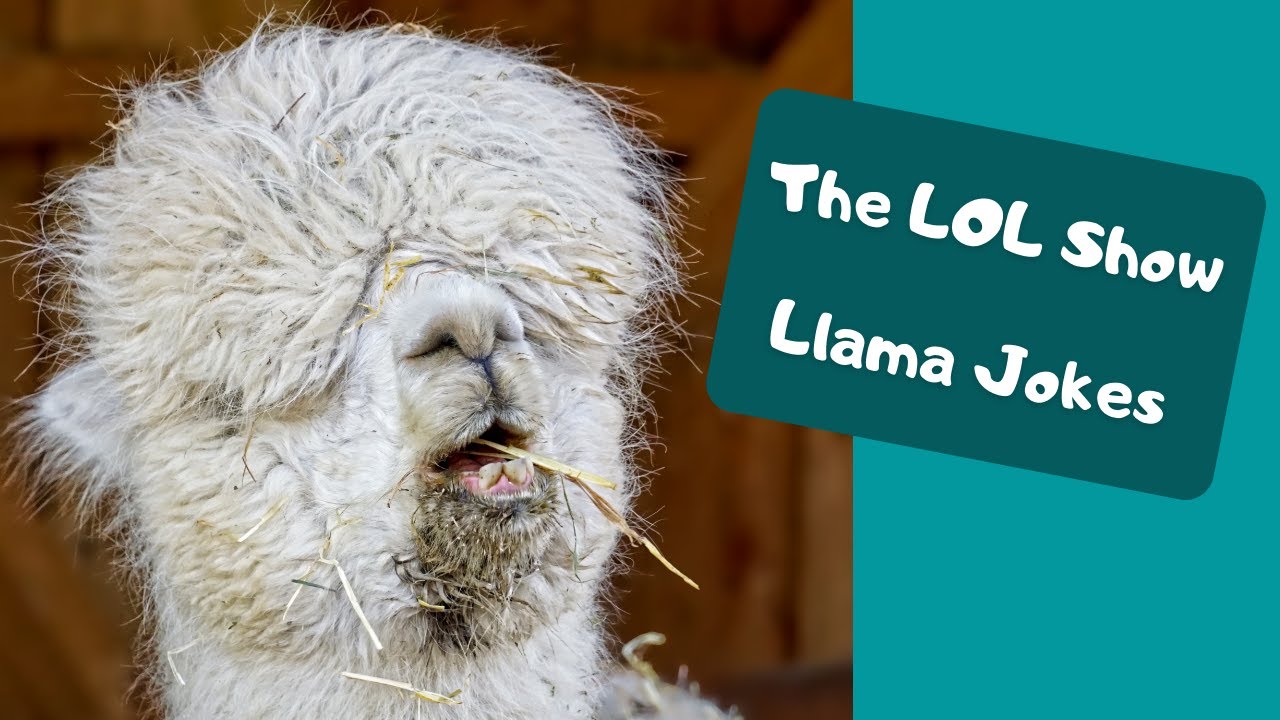 Llama Joke Memes