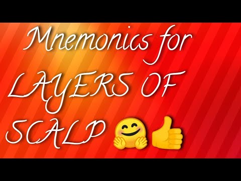 Layers of SCALP : MNEMONICS simplified and Explained - YouTube