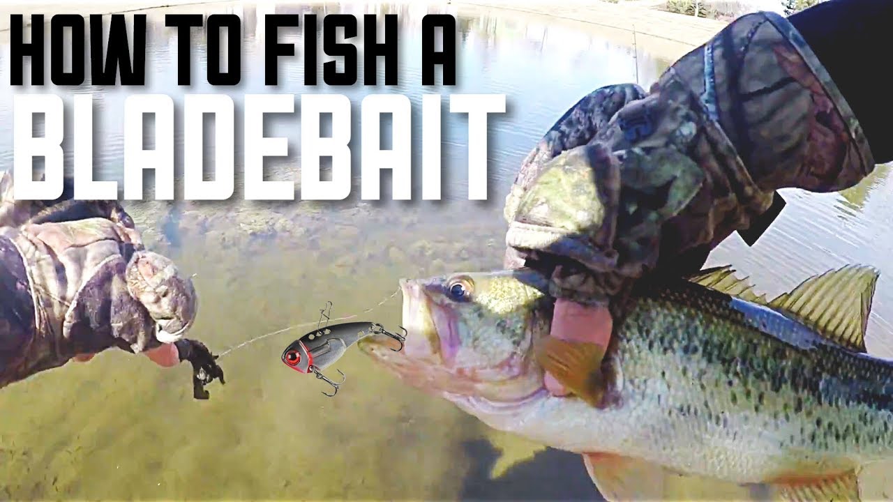 How to Fish a Bladebait--Johnson Thinsfisher - YouTube