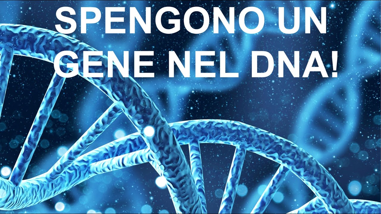 Spengono un gene difettoso senza modificare il DNA - YouTube