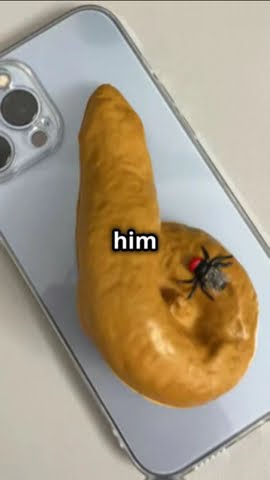 #66 Ali Express Finds 3D Poo Poo Phone Case - YouTube