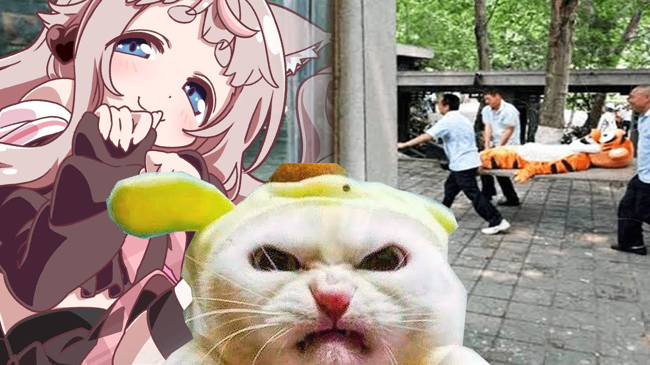 procrastinate to MEMES (with your cat) | VTuber Fuwa Reacts to well ...