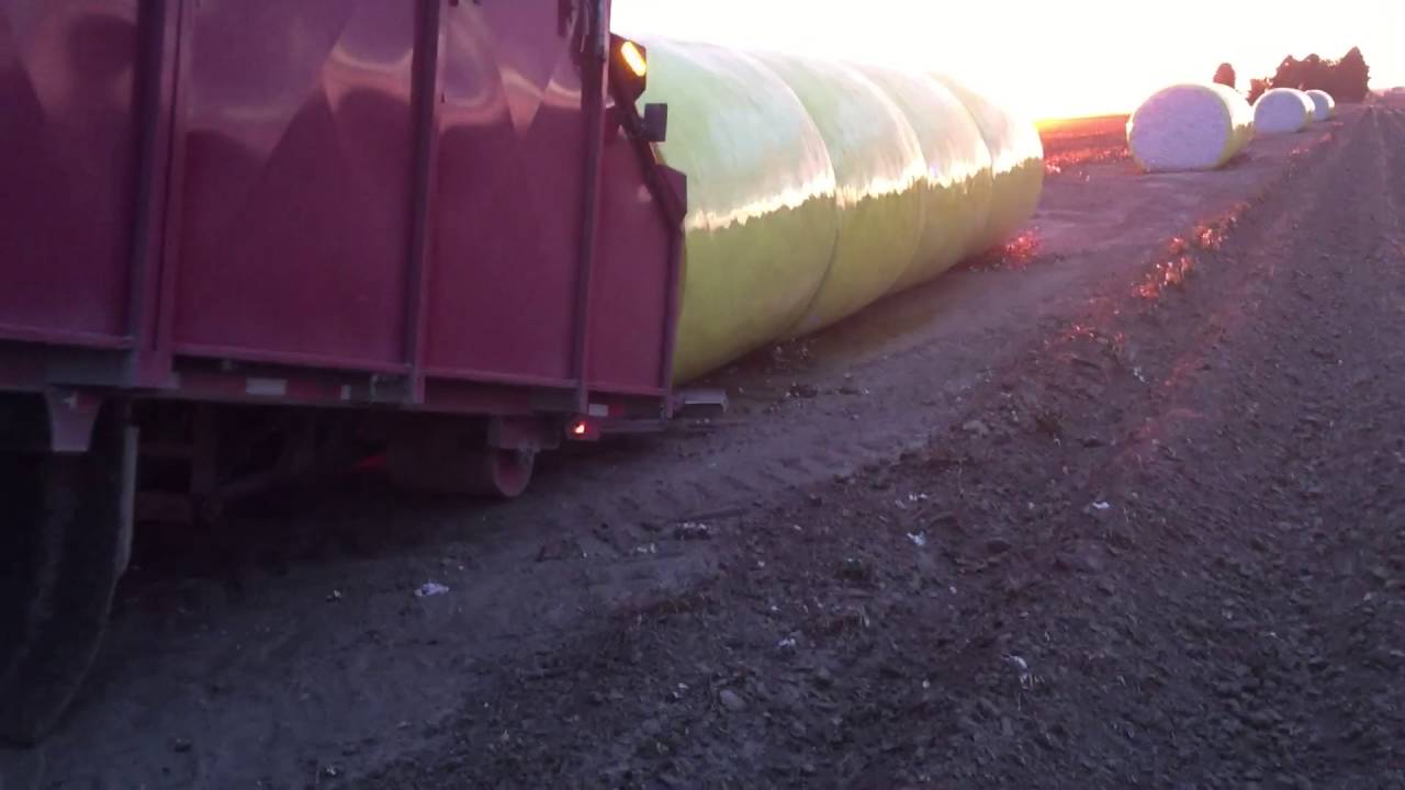 Loading round cotton module at sunset - YouTube