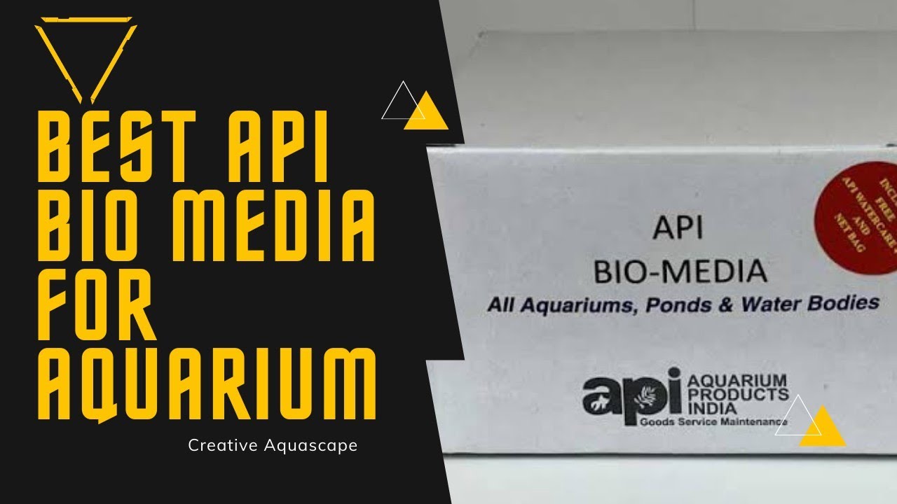 Unboxing API BIO-MEDIA Review - YouTube