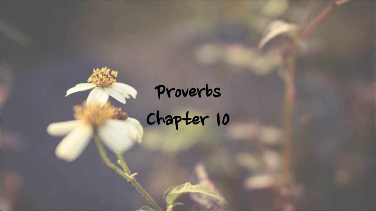 Proverbs 10 - NIV | AUDIO BIBLE & TEXT - YouTube