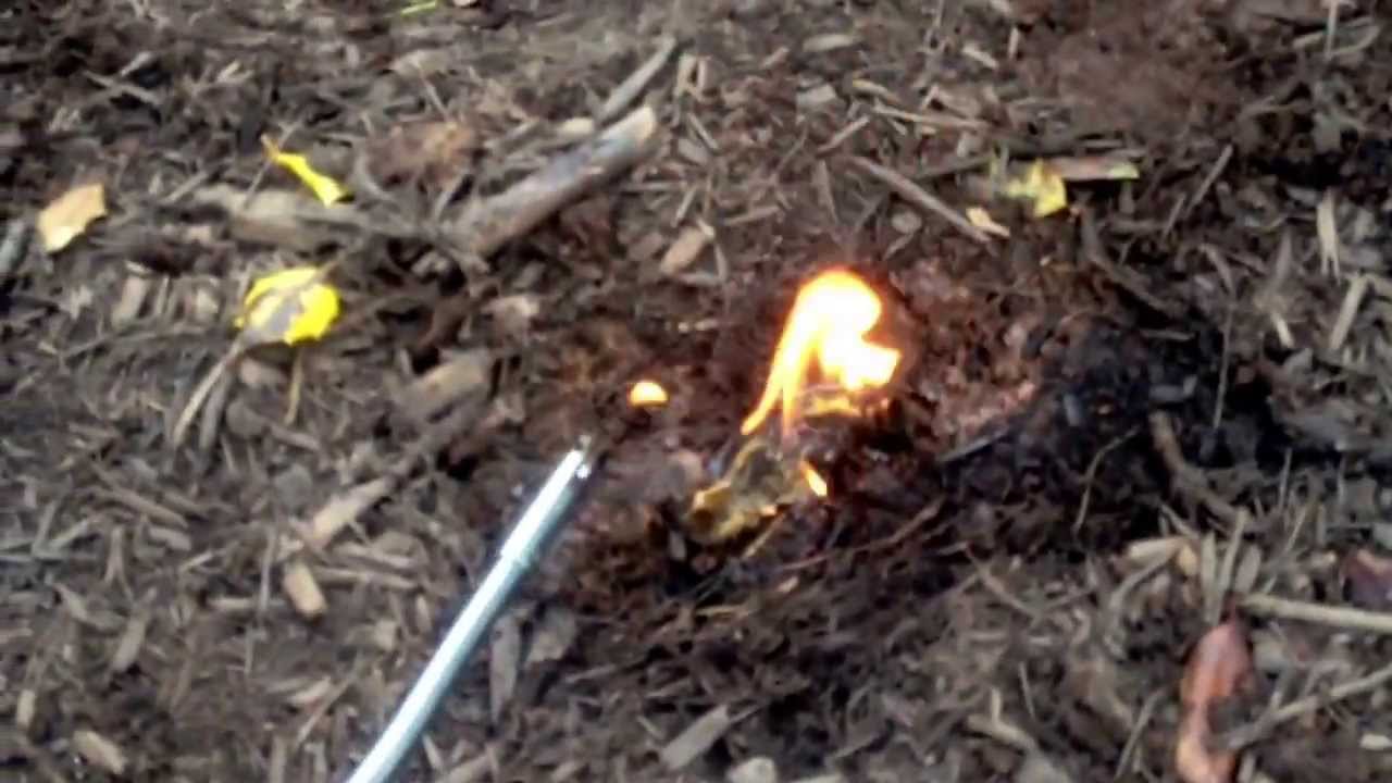 Lighting dead birds on fire - YouTube