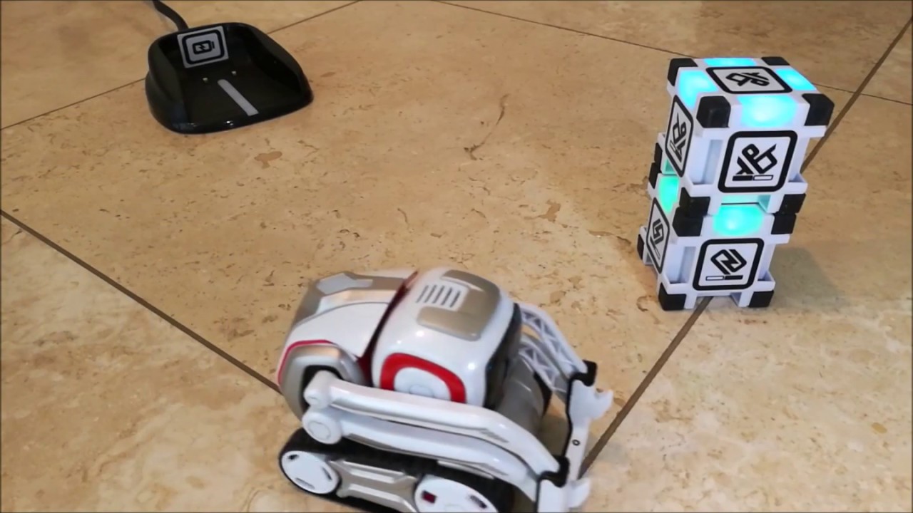 Cosmo Knocks Over Cubes - YouTube