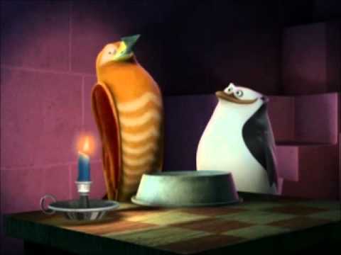 Skipper & the falcon - YouTube