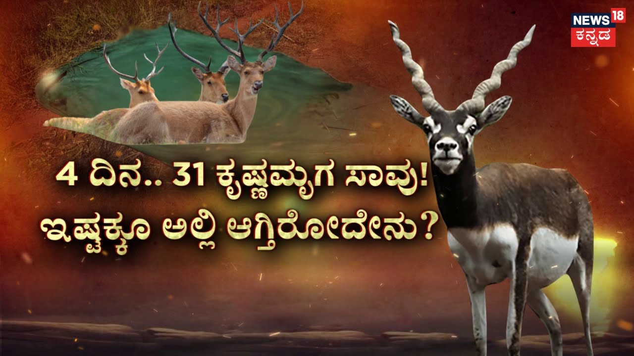 Krishna Mruga Serial Death | ನರಳಿ ನರಳಿ ಪ್ರಾಣಬಿಡ್ತಿವೆ ಕೃಷ್ಣಮೃಗಗಳು ...
