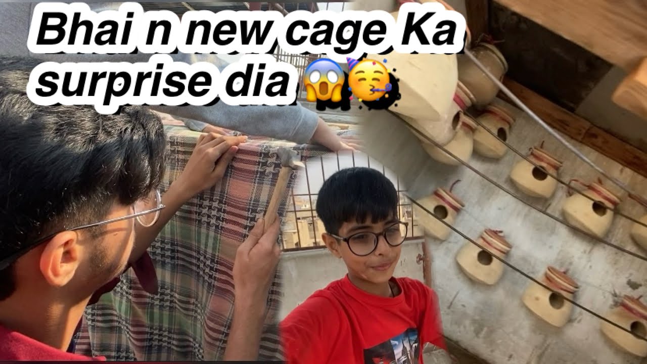 Bhai give me surprise 😱🥳😍|| new cage bana Lia 🫶🏻|| Izhan imran vlog ...