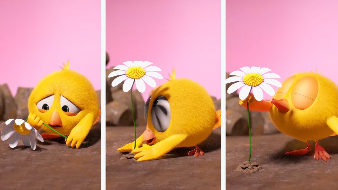 Chicky protects de world | Where's Chicky? | Cartoon Collection in ...