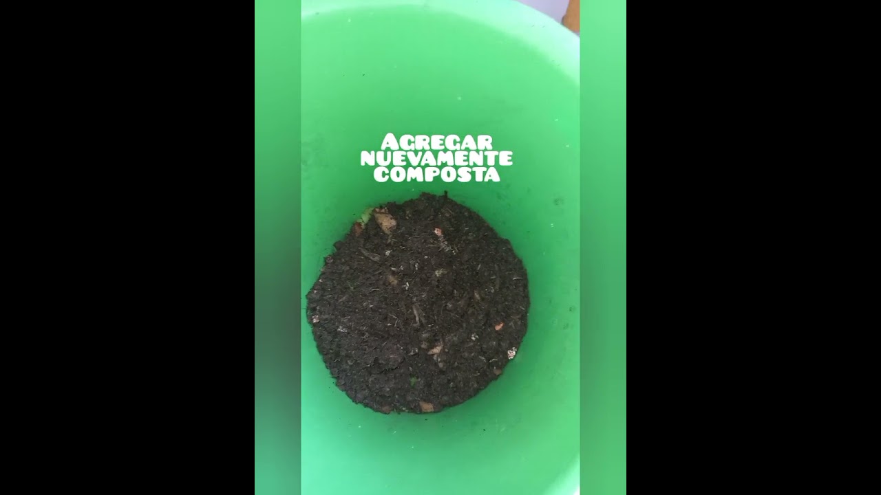 COMO HACER COMPOSTA EN BALDES. - YouTube