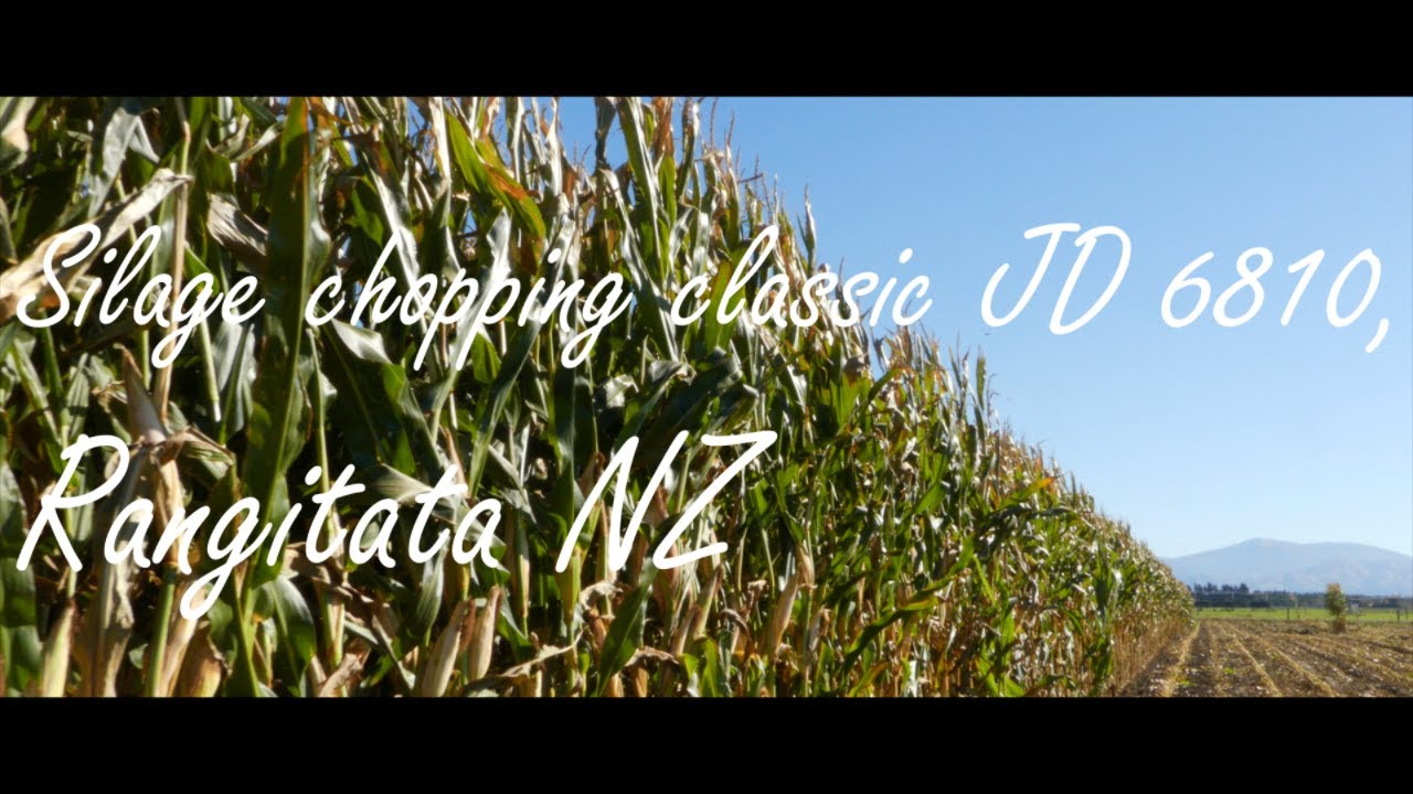 Silage chopping classic JD 6810, Rangitata NZ - YouTube