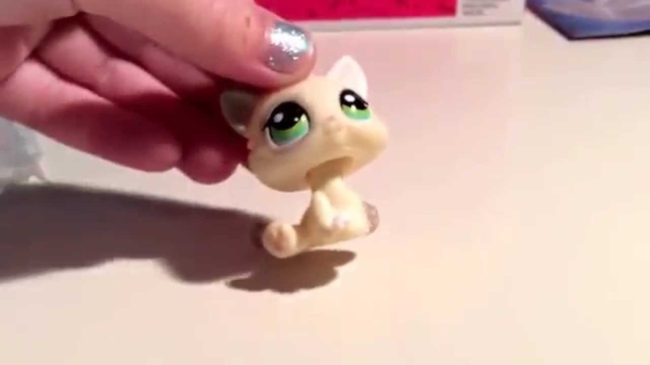 New LPS Kitten from eBay! #3 - YouTube