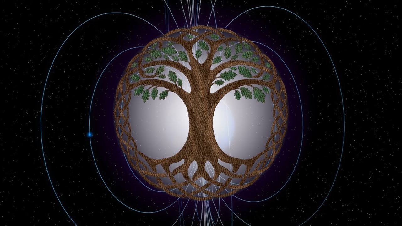 005 ♥ The Vortex, The Torus & The Geometry of Life - YouTube