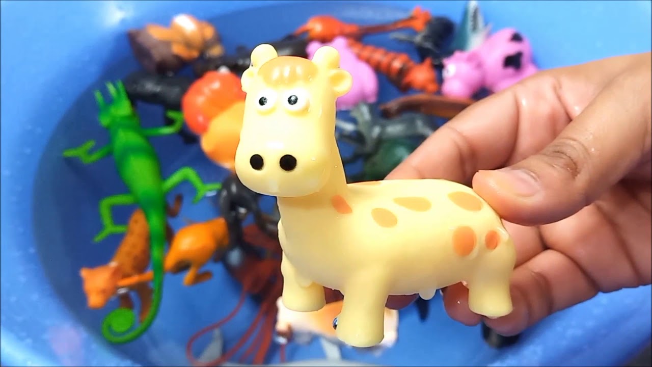 Learn Animal Names With Cute Little Animal Toys. - YouTube