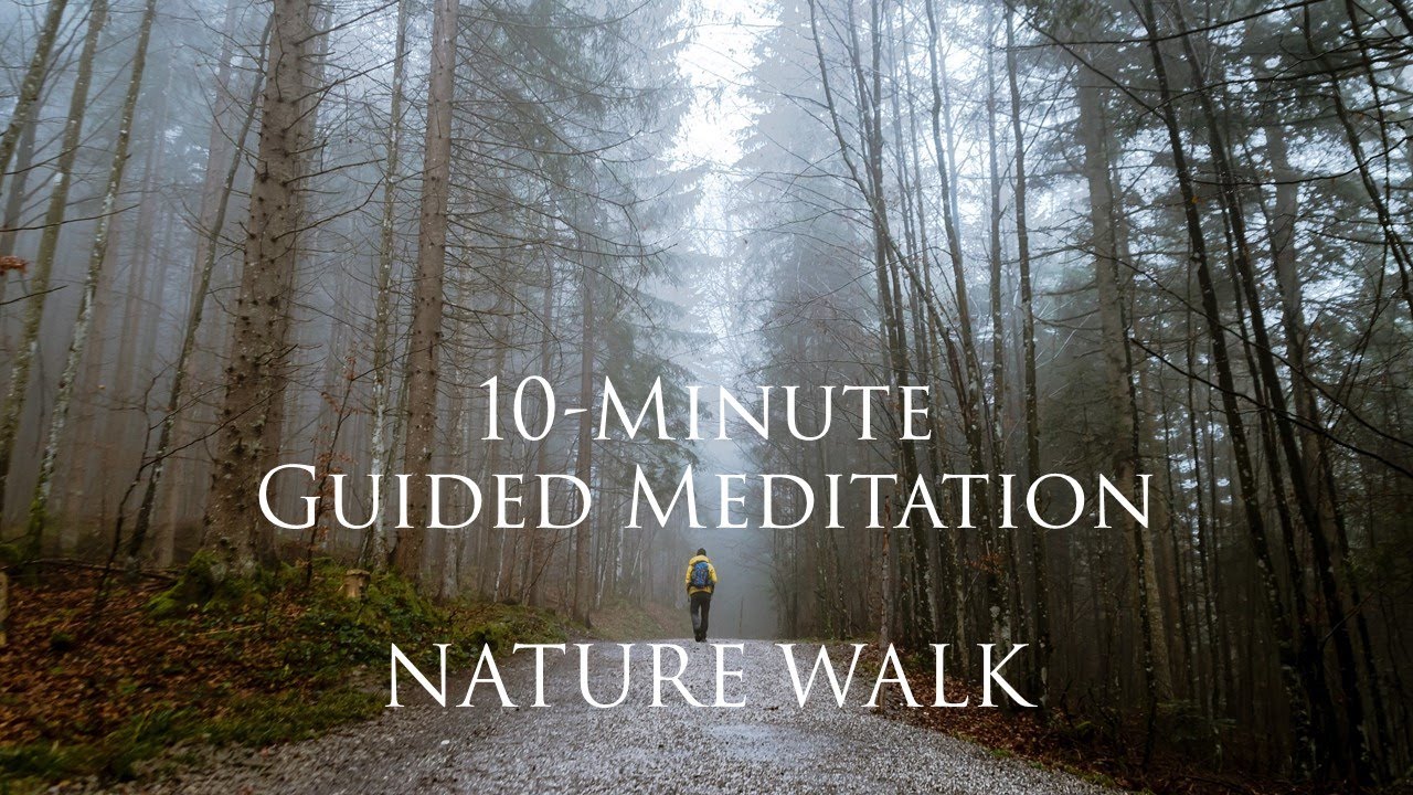 Nature Walk | 10-minute Guided Meditation - YouTube